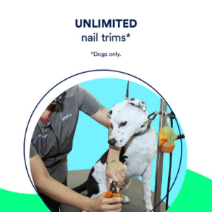Petco Pals Rewards plus Vital Care membership: The best of both worlds ...